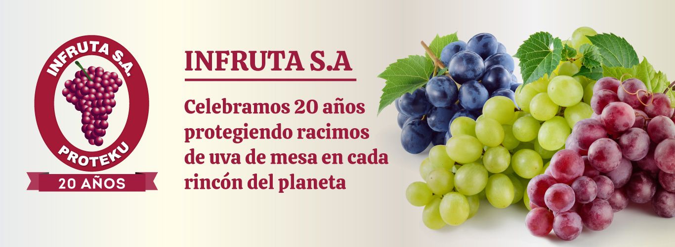 Quiénes Somos – Infruta